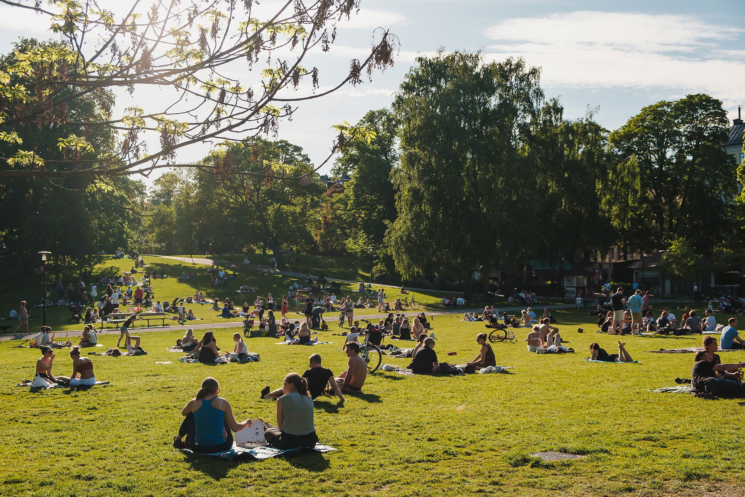 Summer activities in Stockholm - Fun things to do in the summer