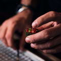 Angler – Michelin restaurant, Seafood restaurant – The City/City of ...