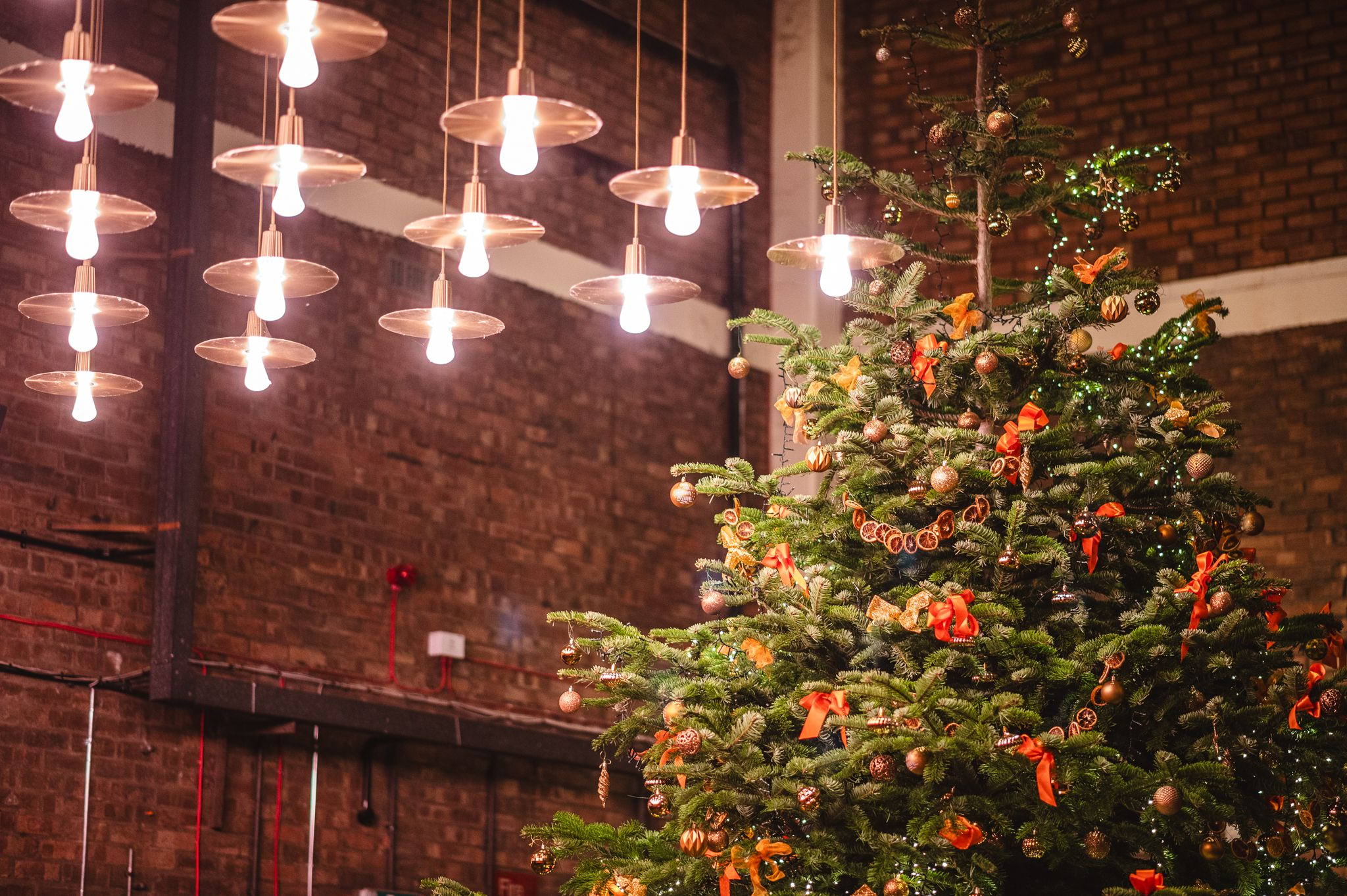Pick up a Christmas tree at Big Penny Social – Thatsup