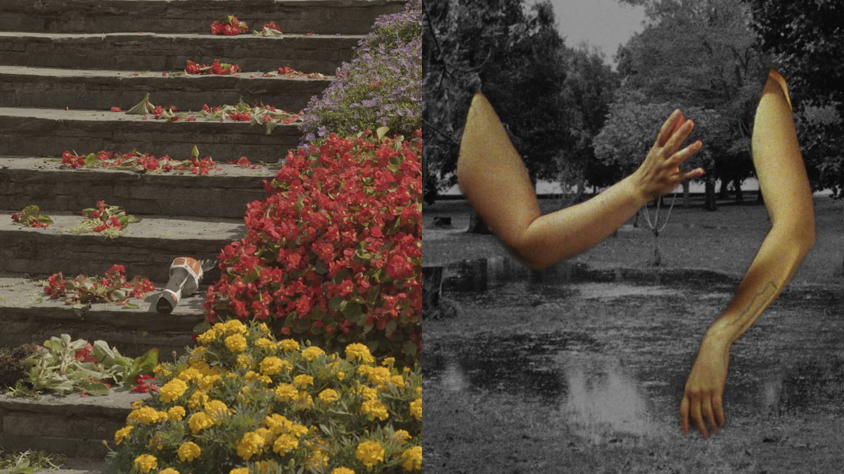 Paradise Pt. II / The Death of Venus – Thatsup
