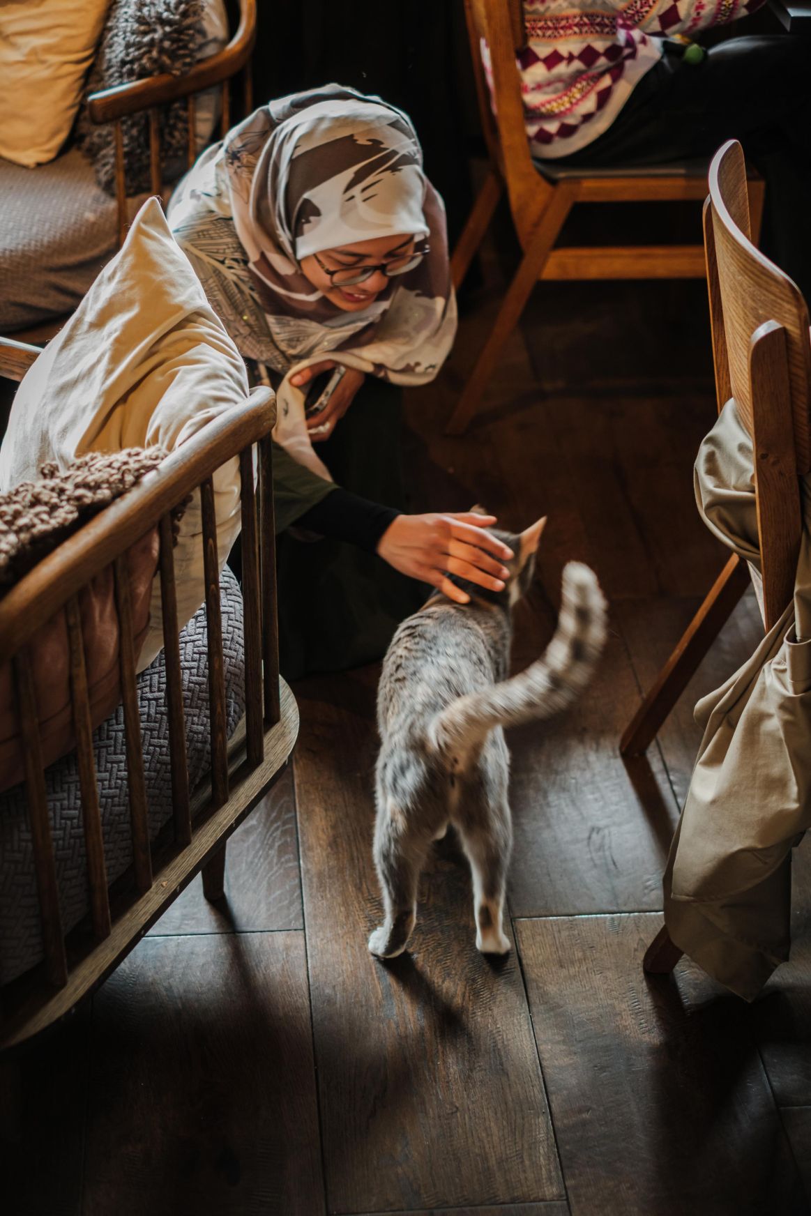 Java Whiskers Cat Café White City – Café – Hammersmith and Fulham, London