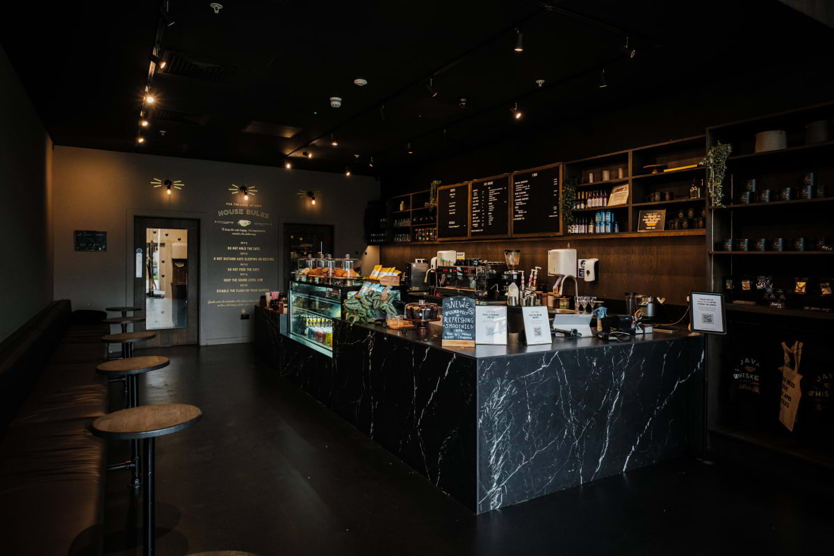 Java Whiskers Cat Café White City – Café – Hammersmith and Fulham, London