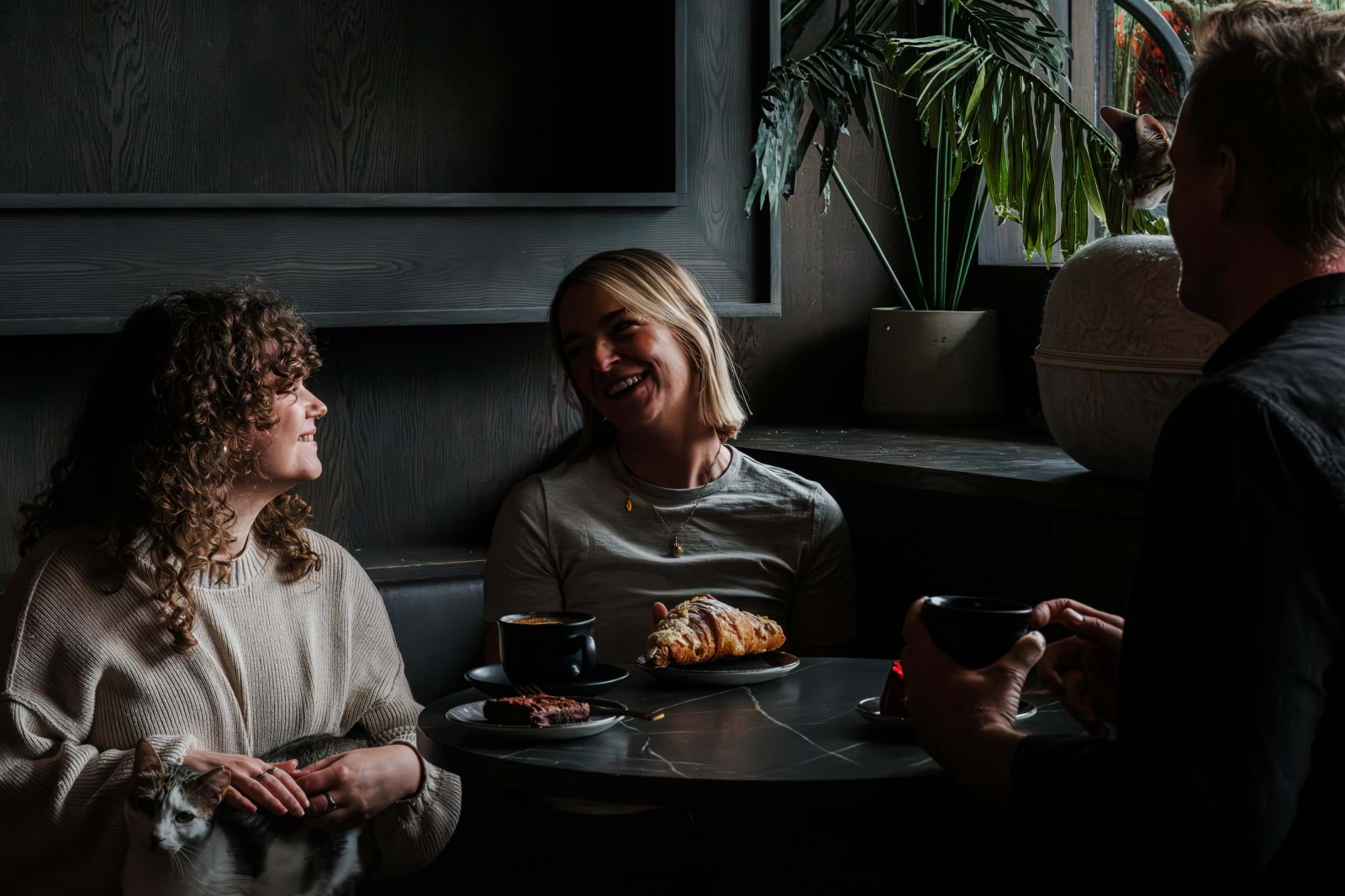 Java Whiskers Cat Café White City – Café – Hammersmith and Fulham, London