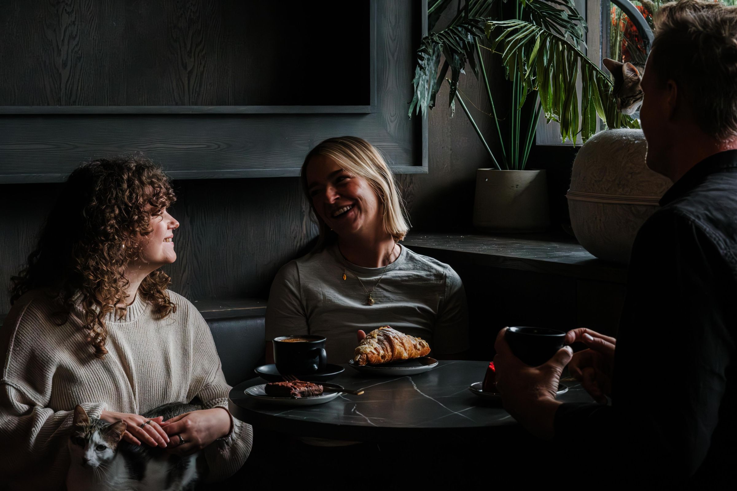 Java Whiskers Cat Café White City – Café – Hammersmith and Fulham, London