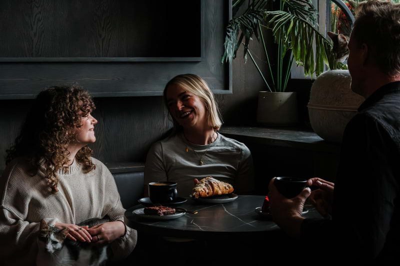 Java Whiskers Cat Café White City – Café – Hammersmith and Fulham, London