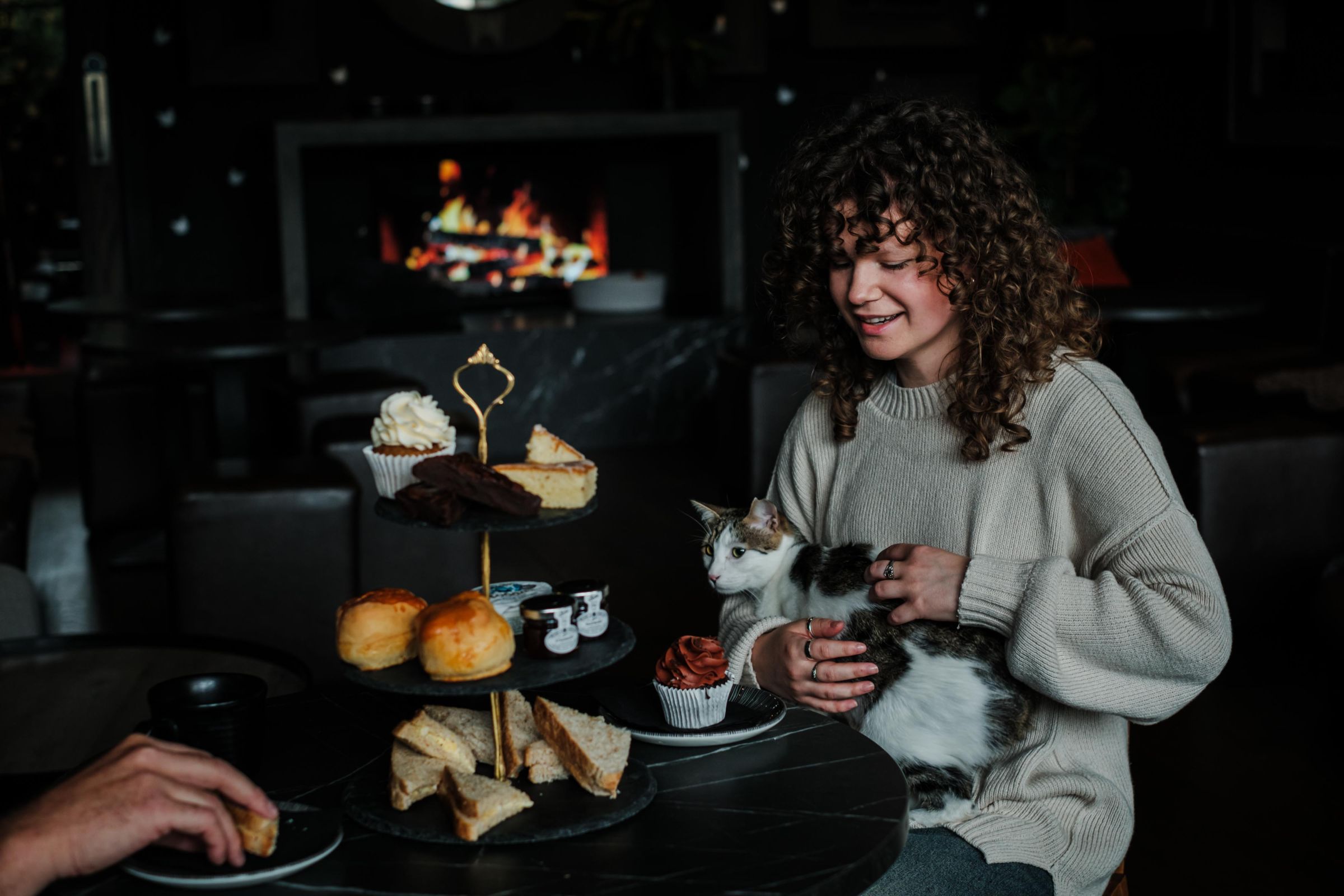 Java Whiskers Cat Café White City – Café – Hammersmith and Fulham, London