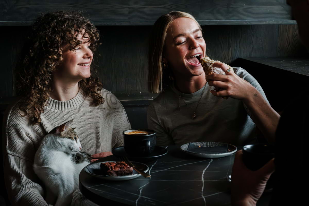 Java Whiskers Cat Café White City – Café – Hammersmith and Fulham, London