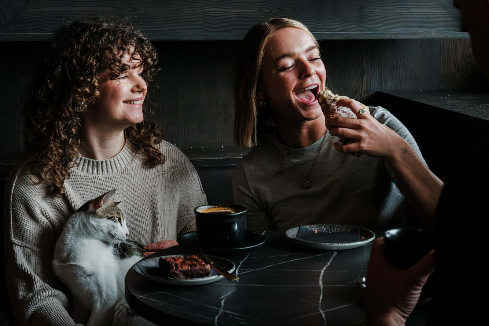 Java Whiskers Cat Café White City – Café – Hammersmith and Fulham, London