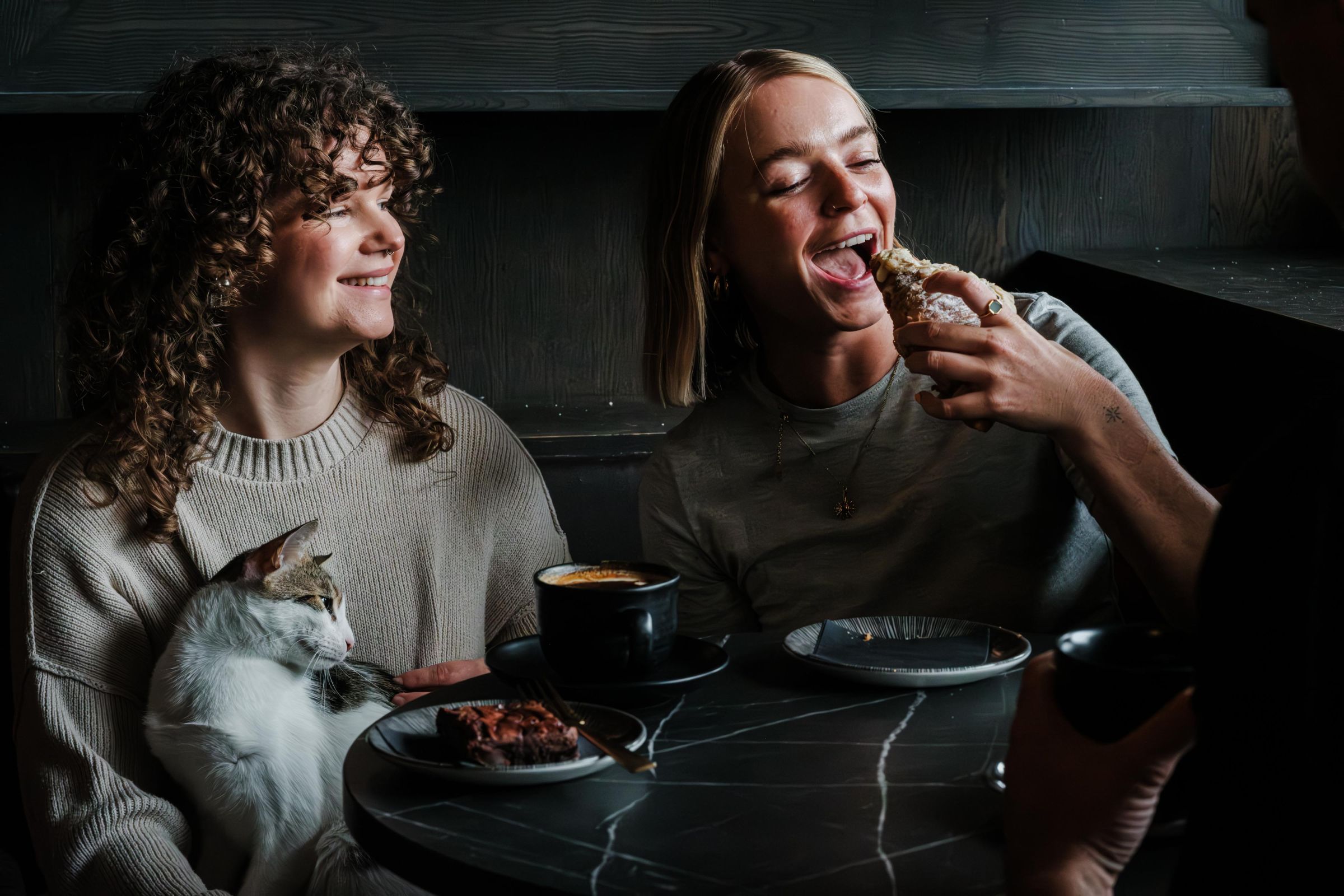 Java Whiskers Cat Café White City – Café – Hammersmith and Fulham, London