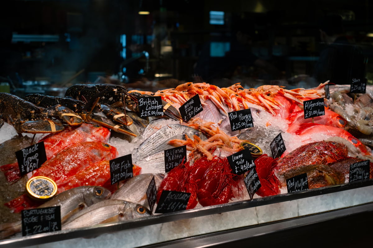 Novikov Restaurant & Bar – Italian restaurant, Asian restaurant ...