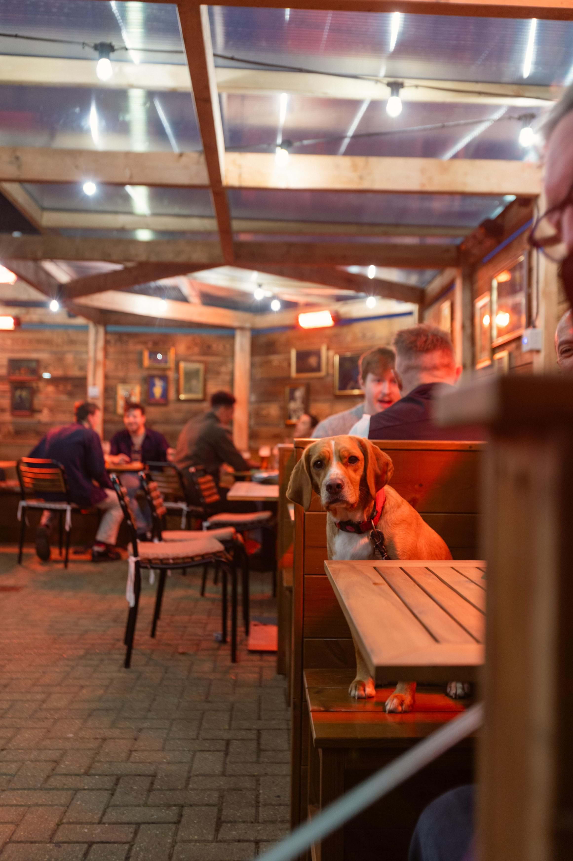 Where to Find the Best Guinness in London – Top Places to Drink Guinness