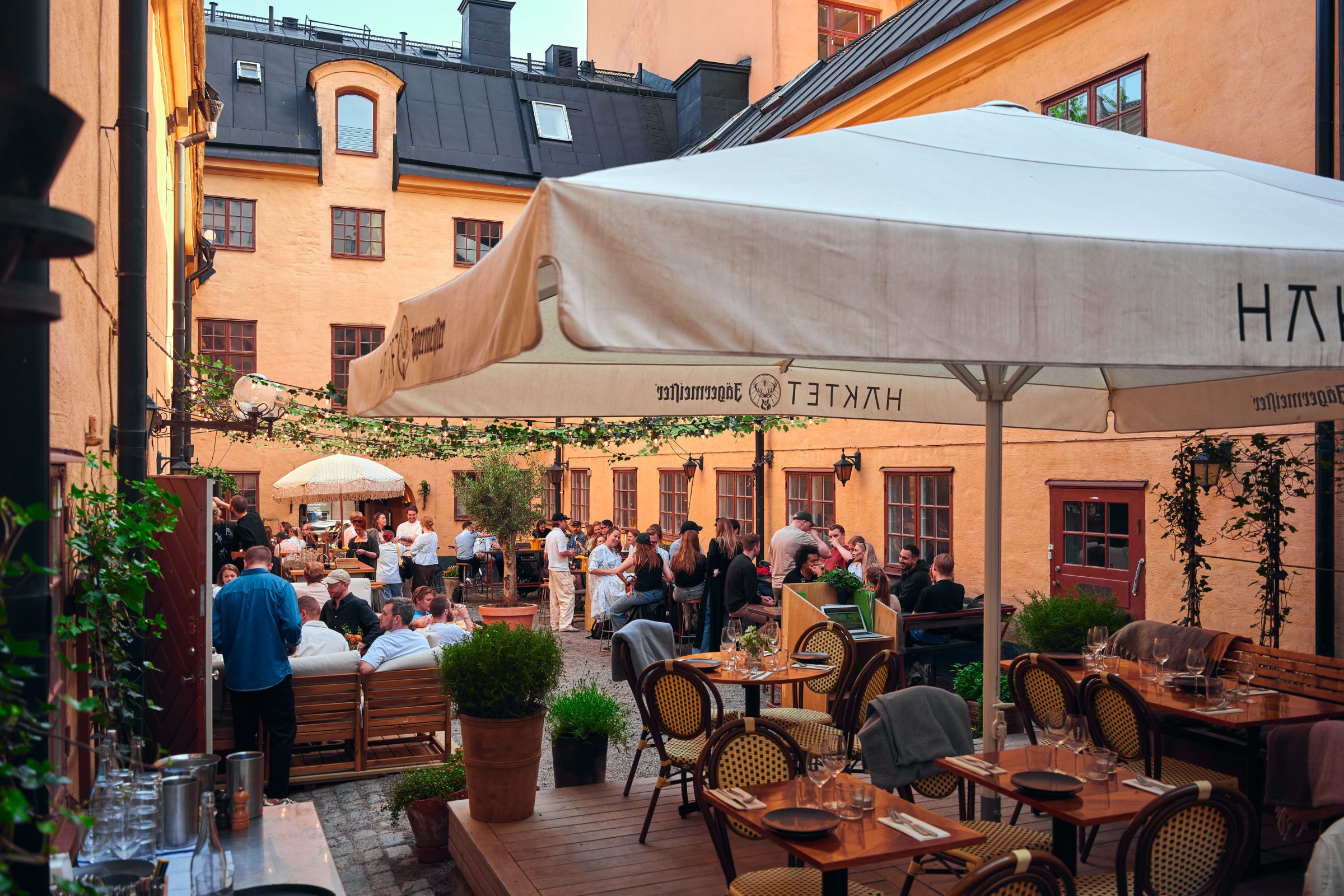 Restauranger med puls och festlig stämning i Stockholm